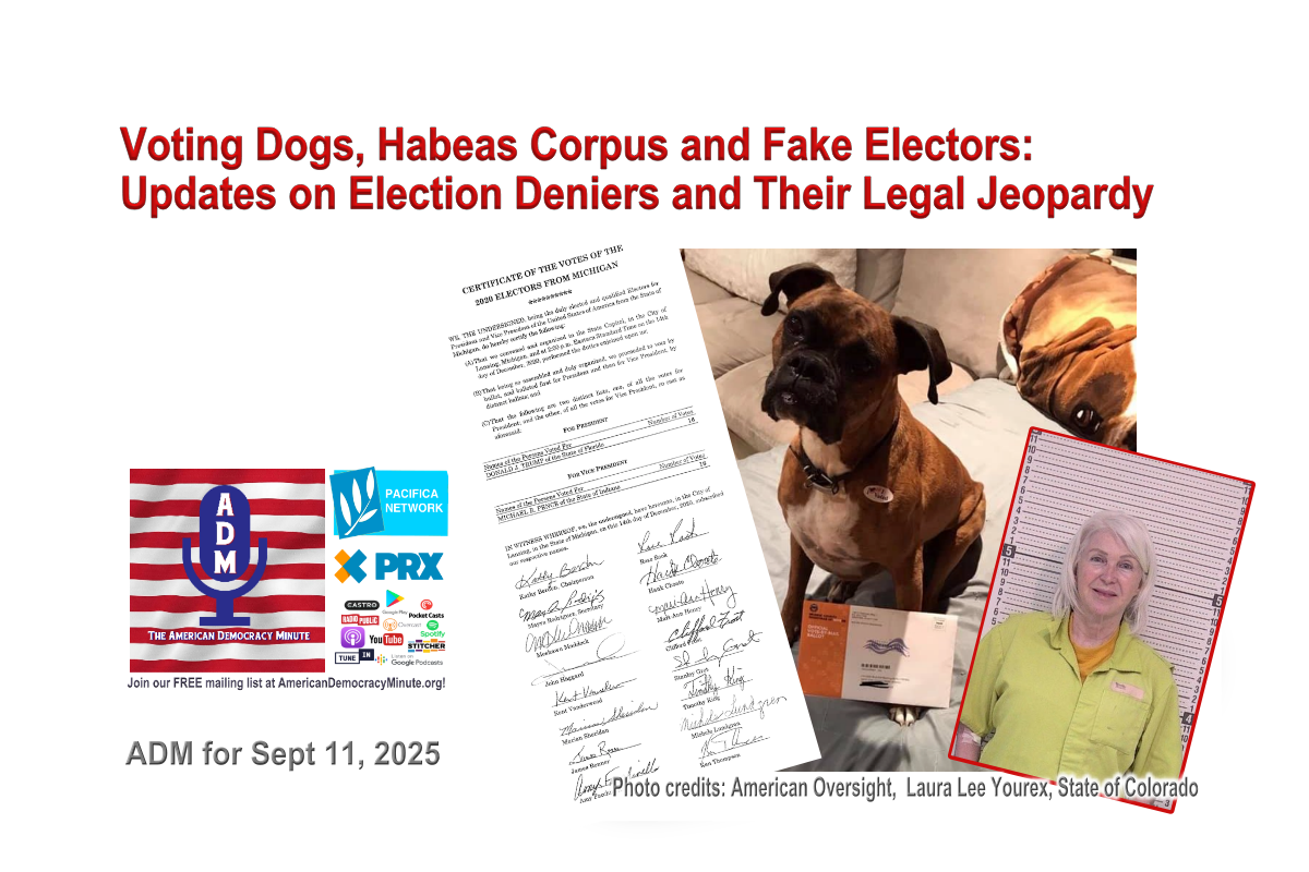 Voting Dogs, Habeas Corpus and Fake Electors: Updates on Election ...